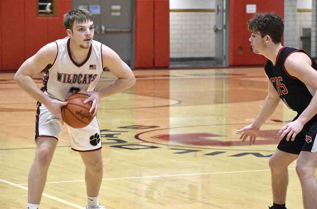 Wildcats’ win a group effort | News, Sports, Jobs - The Vindicator
